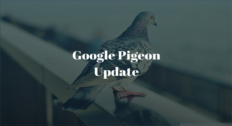 What Is Google Pigeon Update?